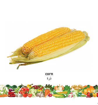Vegetables (English–Arabic) Milet